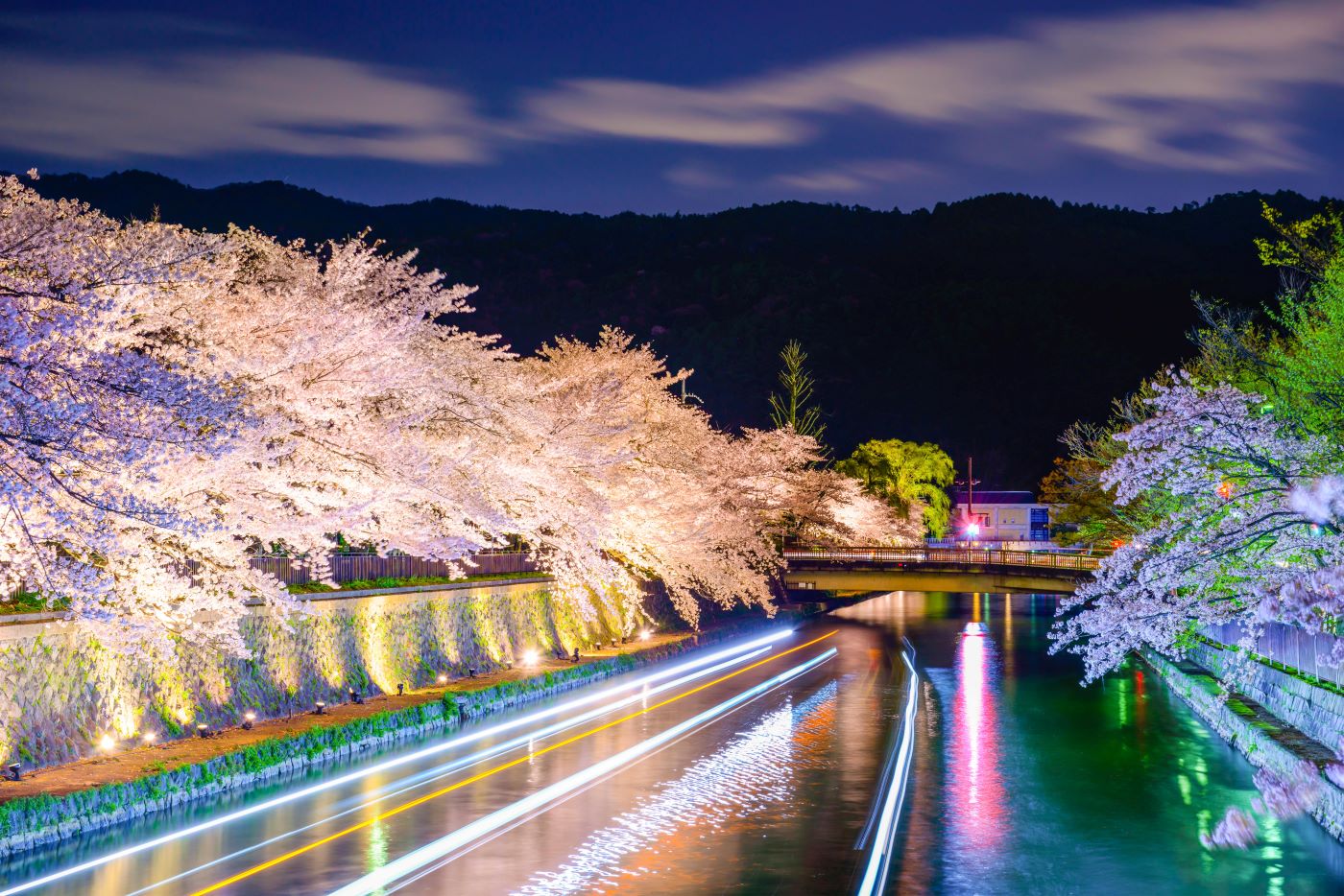 Global specialty pharmaceutical company | Kyowa Kirin